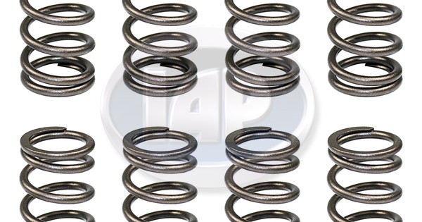 Valve Springs, Single, Hi-Rev, VW Bug, Super Beetle, Ghia, Bus, Type 3 ...